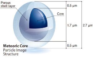 Meteoric Core - YMC Singapore